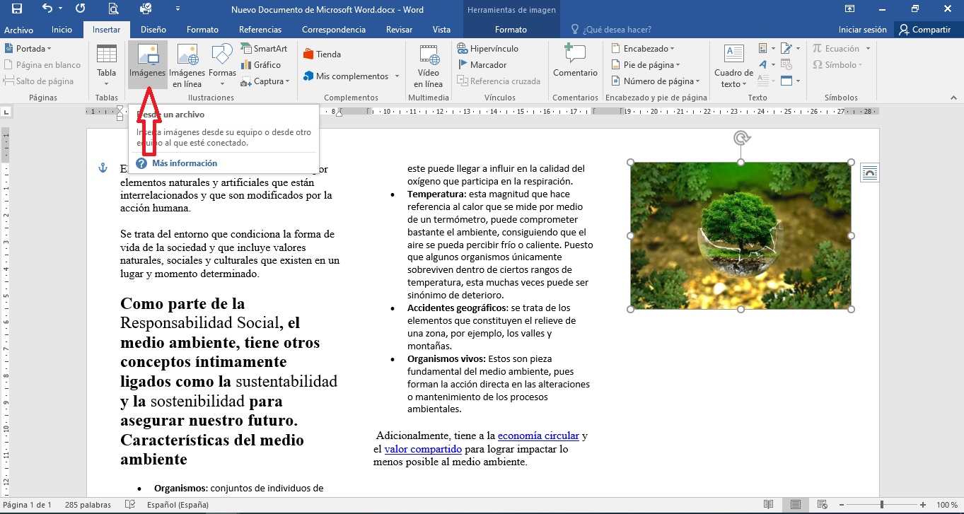 Tríptico en Word. ¿Cómo hacerlo? - Revista TINO